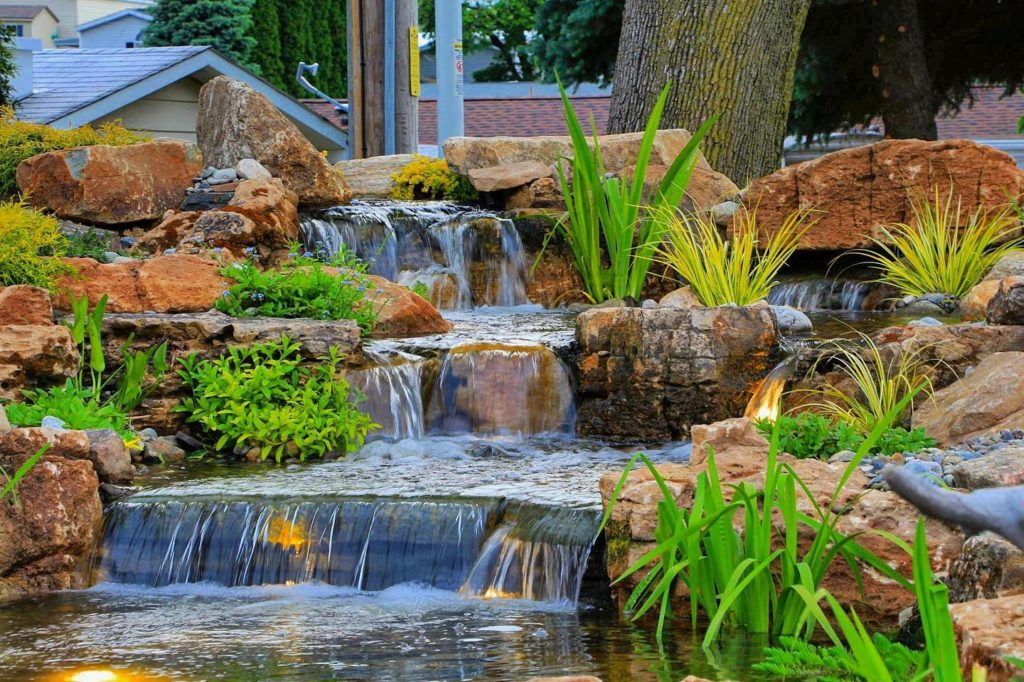 Why Oxygen Is Important to a Pond Ecosystem – C.E. Pontz Sons