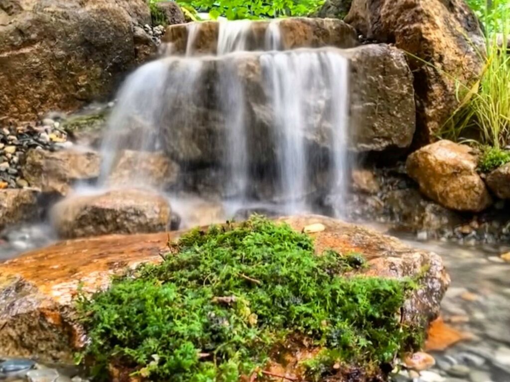 Building a NATURAL POND in the WOODS – C.E. Pontz Sons